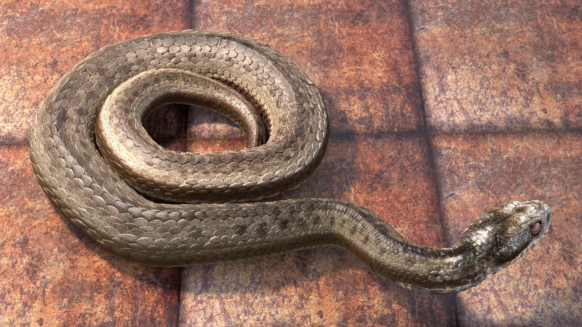 Adder Viper Snake Animation 3d C4d