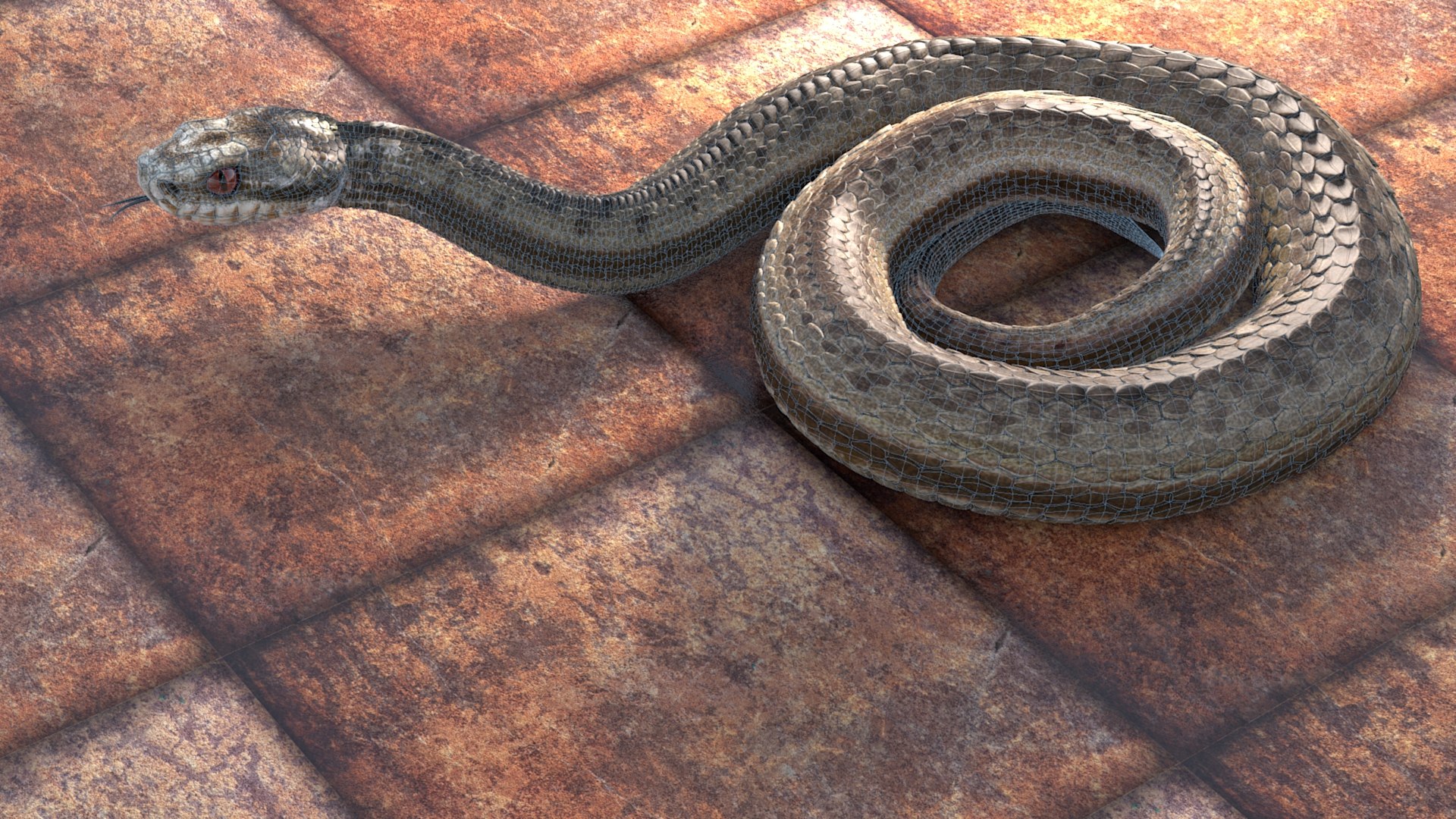Adder Viper Snake Animation 3d C4d