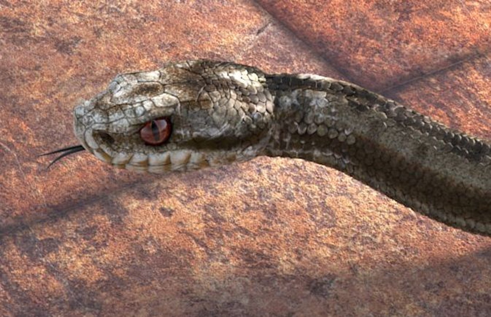 Adder Viper Snake Animation 3d C4d