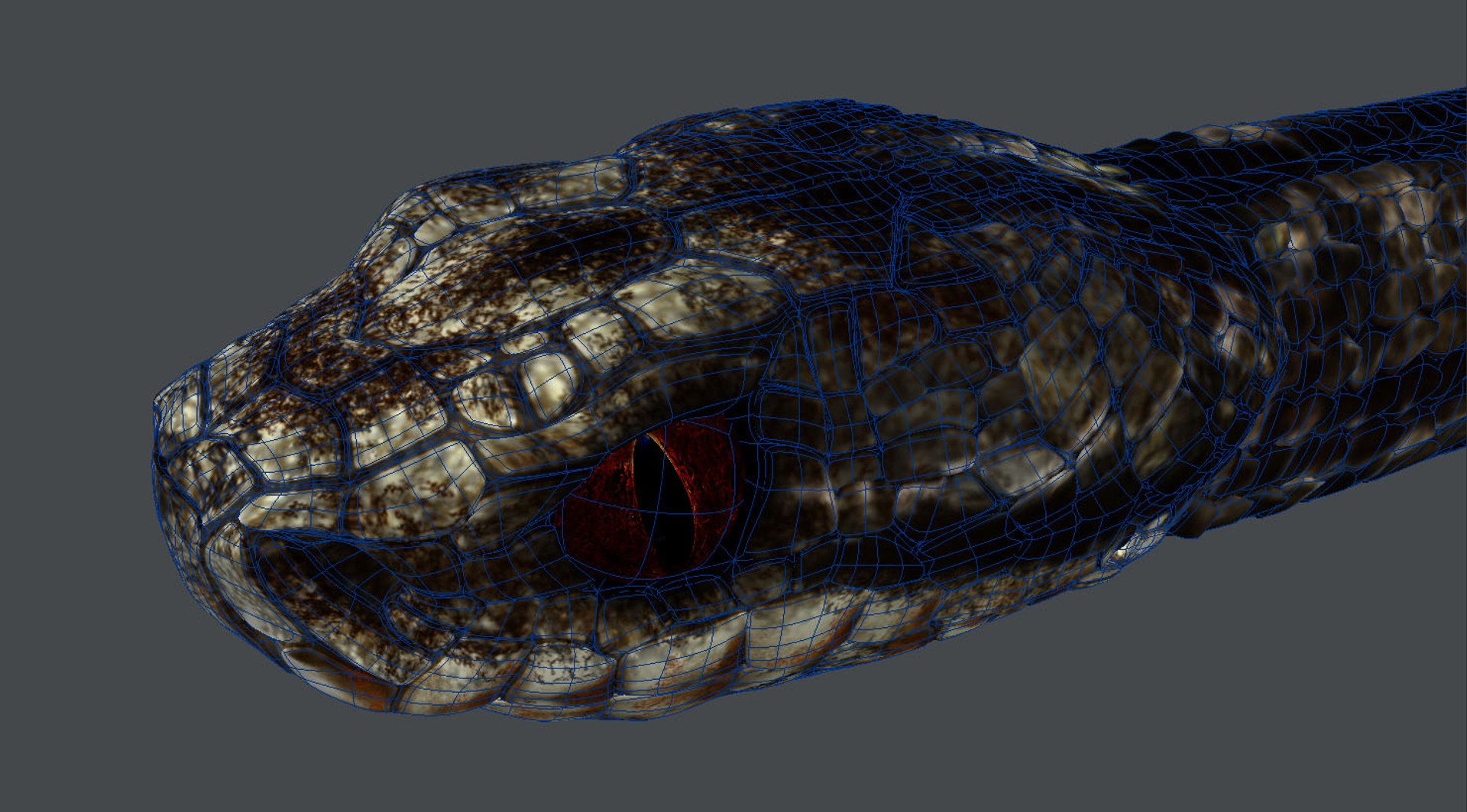 Adder Viper Snake Animation 3d C4d