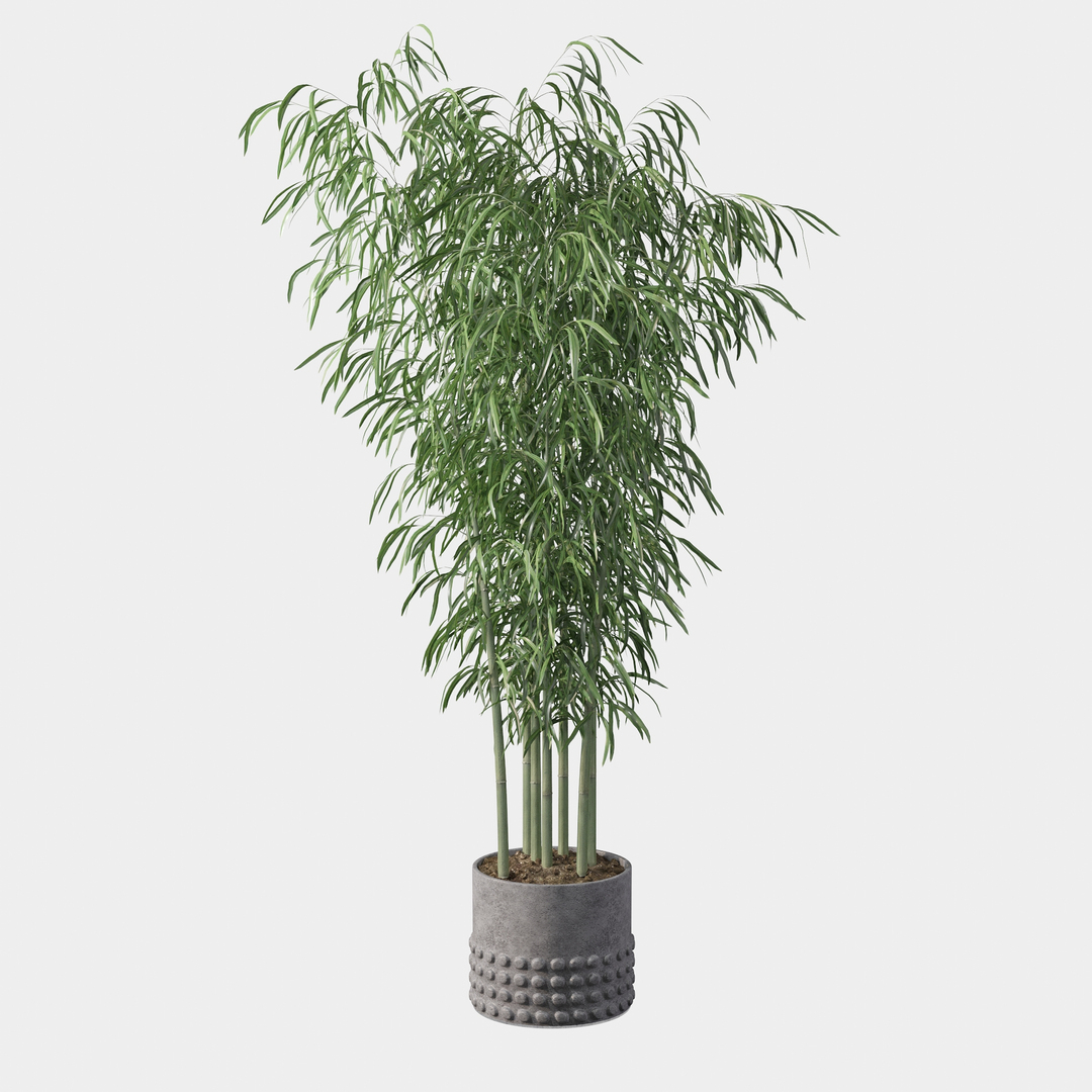 3D Bamboo Model - TurboSquid 1627975