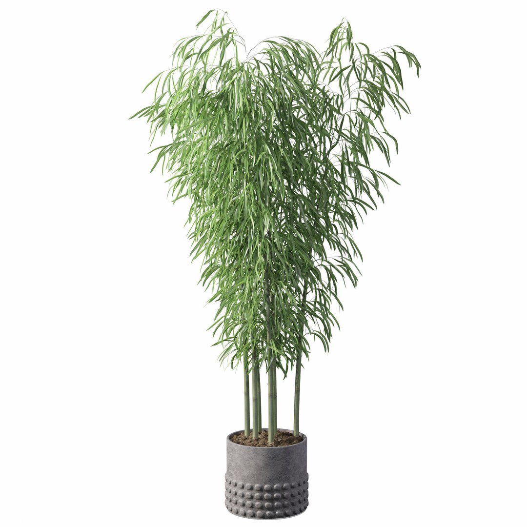 3D Bamboo Model - TurboSquid 1627975