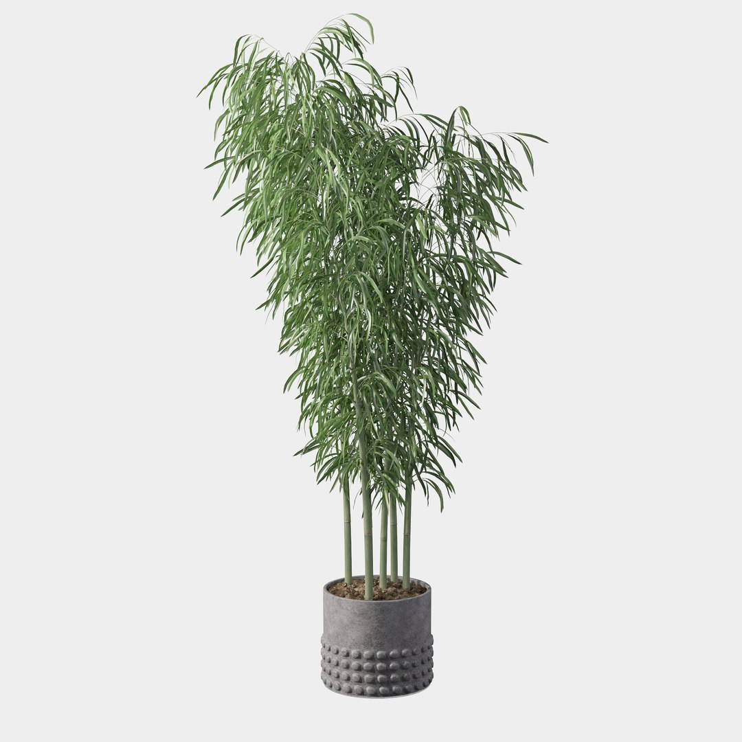 3D Bamboo Model - TurboSquid 1627975