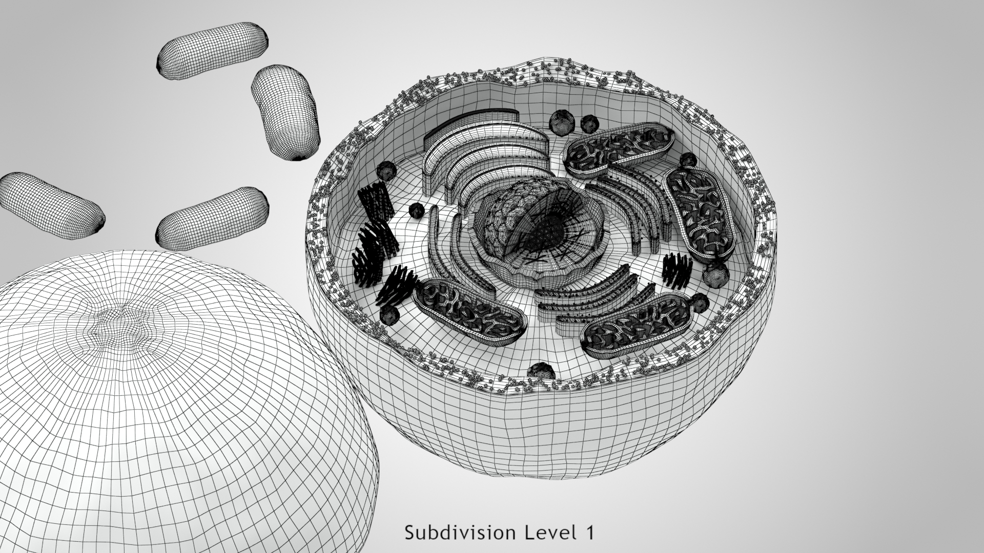 3D Plasma Cell Model - TurboSquid 1975649