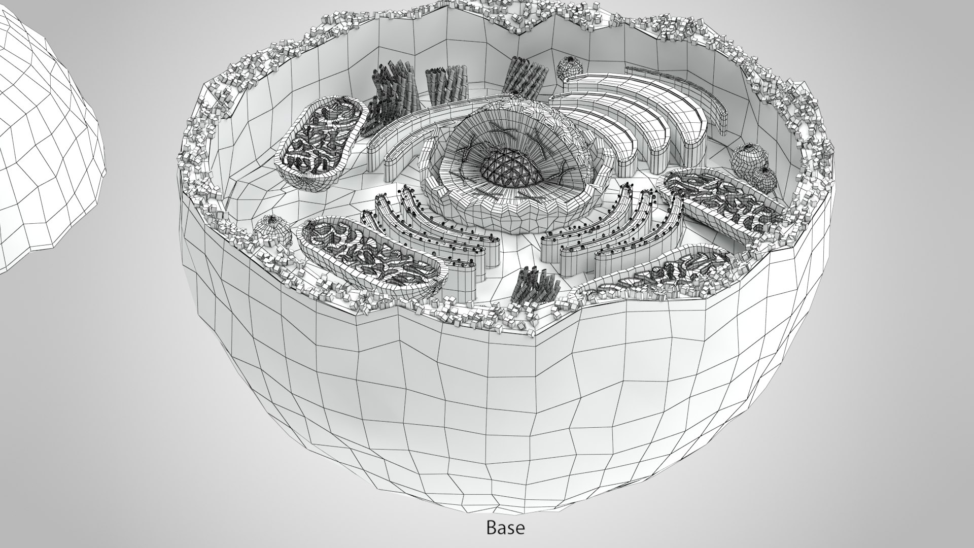 3D Plasma Cell model - TurboSquid 1975649