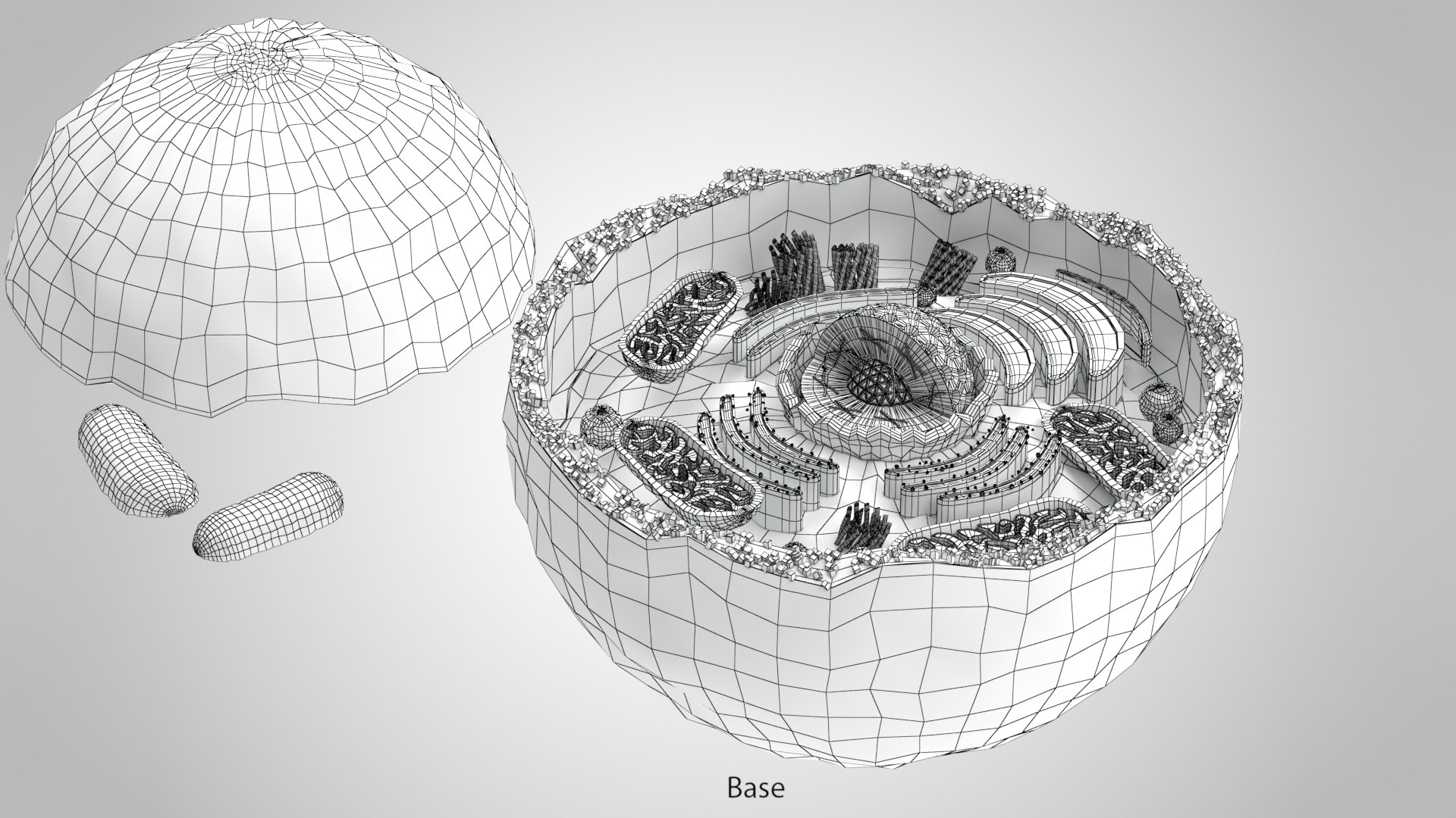 3D Plasma Cell model - TurboSquid 1975649