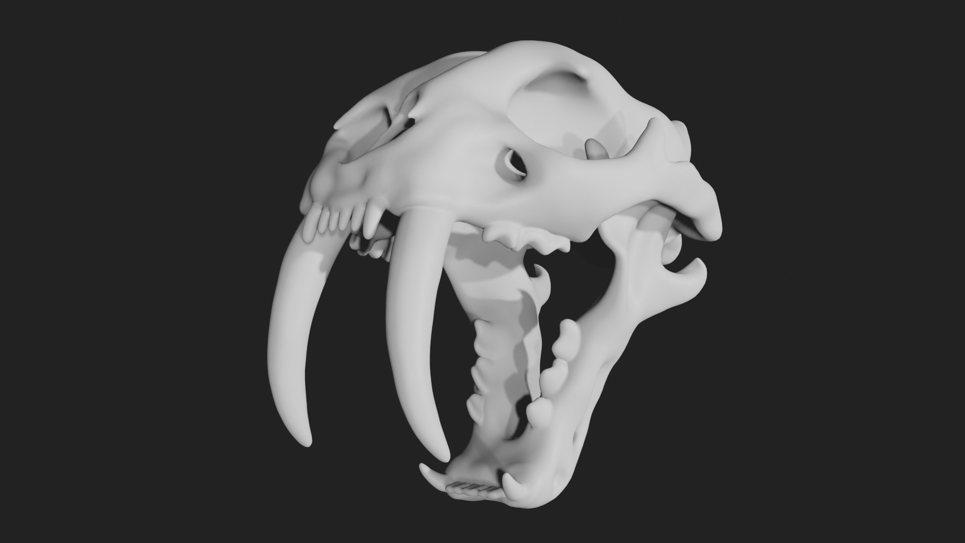 3D Model Sabertooth Smilodon Tiger Skull - TurboSquid 1776196