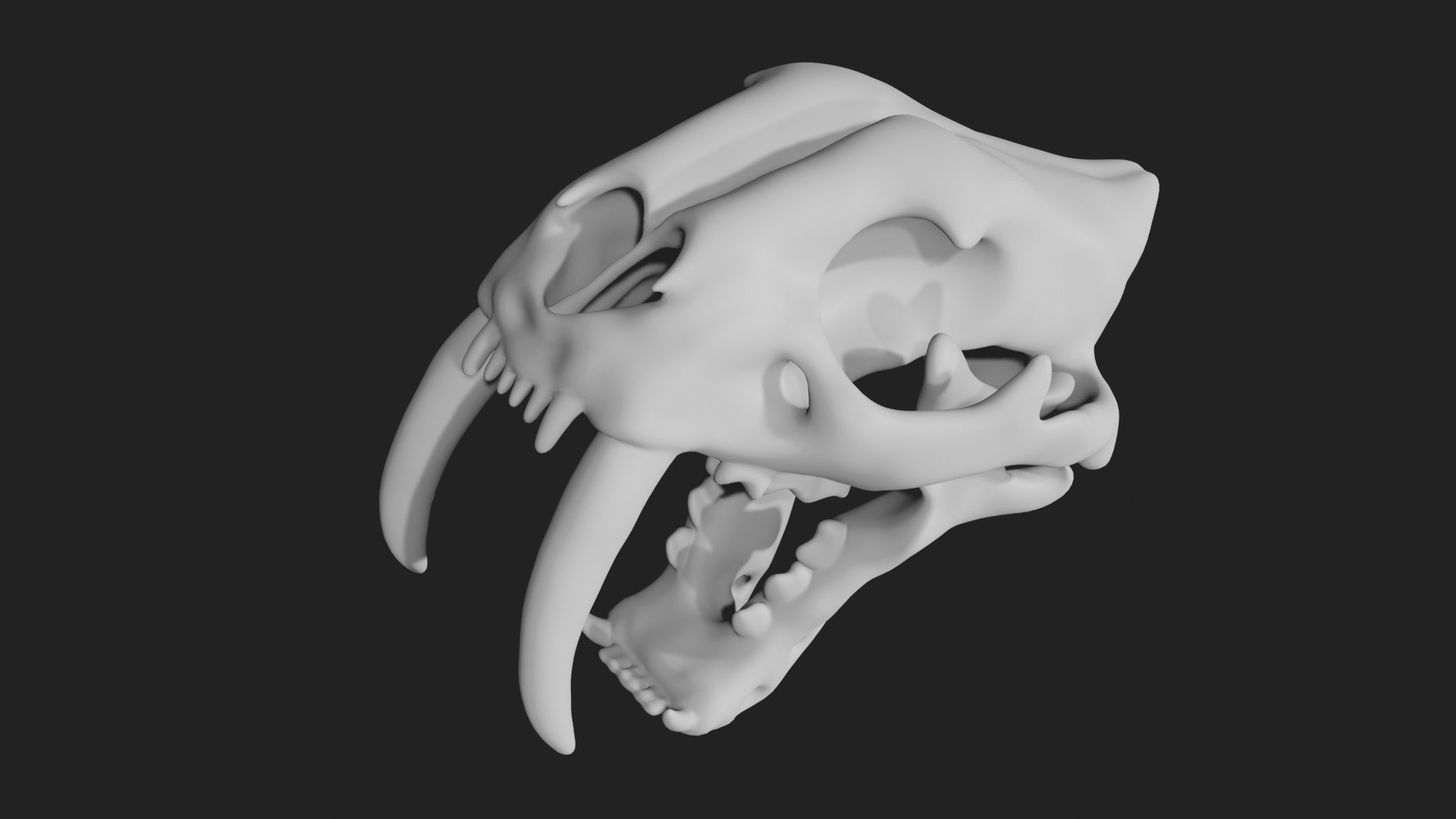 3D Model Sabertooth Smilodon Tiger Skull - TurboSquid 1776196