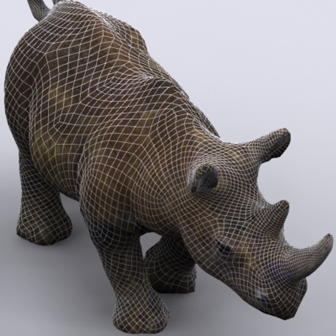Rhinoceros 3d Model