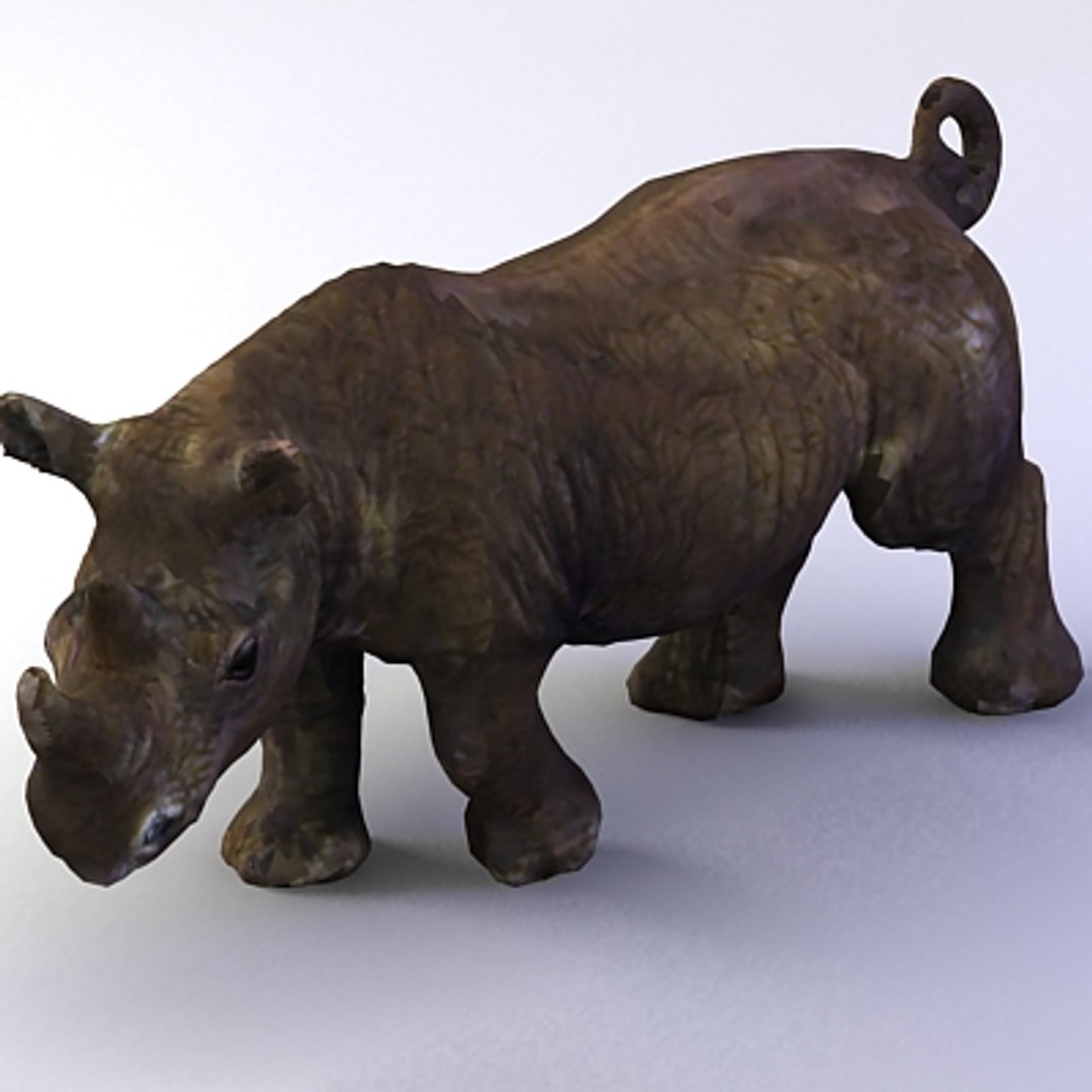 Rhinoceros 3d Model