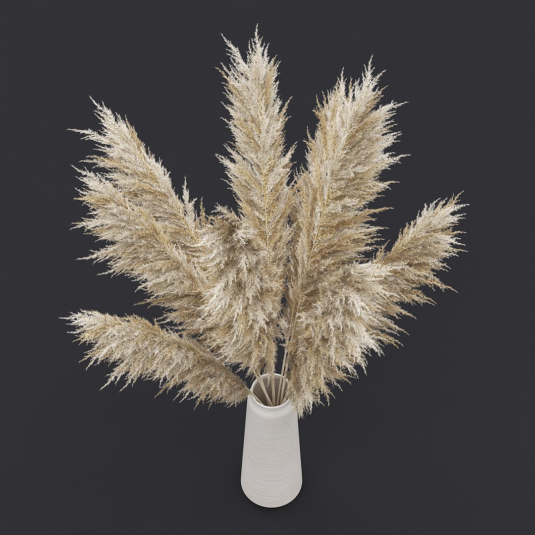 3D Pampas Grass II Model - TurboSquid 2110646