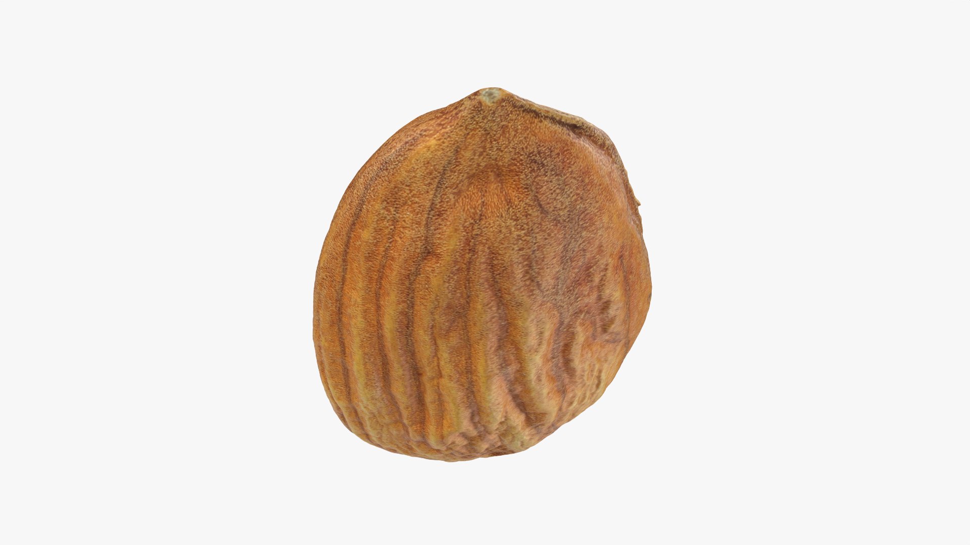 3D Model Almond Nut 02 - Raw Scan - TurboSquid 2469572