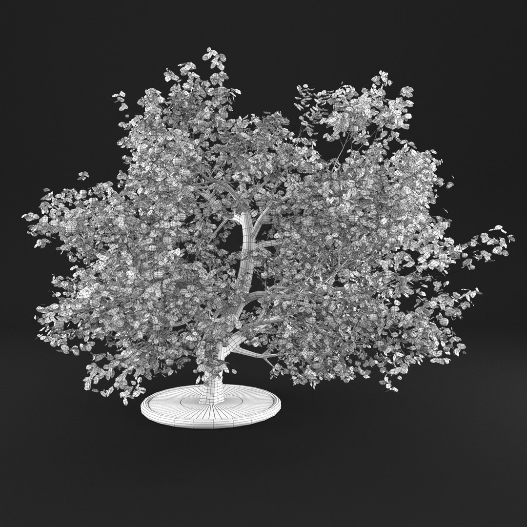 3D Model Apple Tree - TurboSquid 1156197