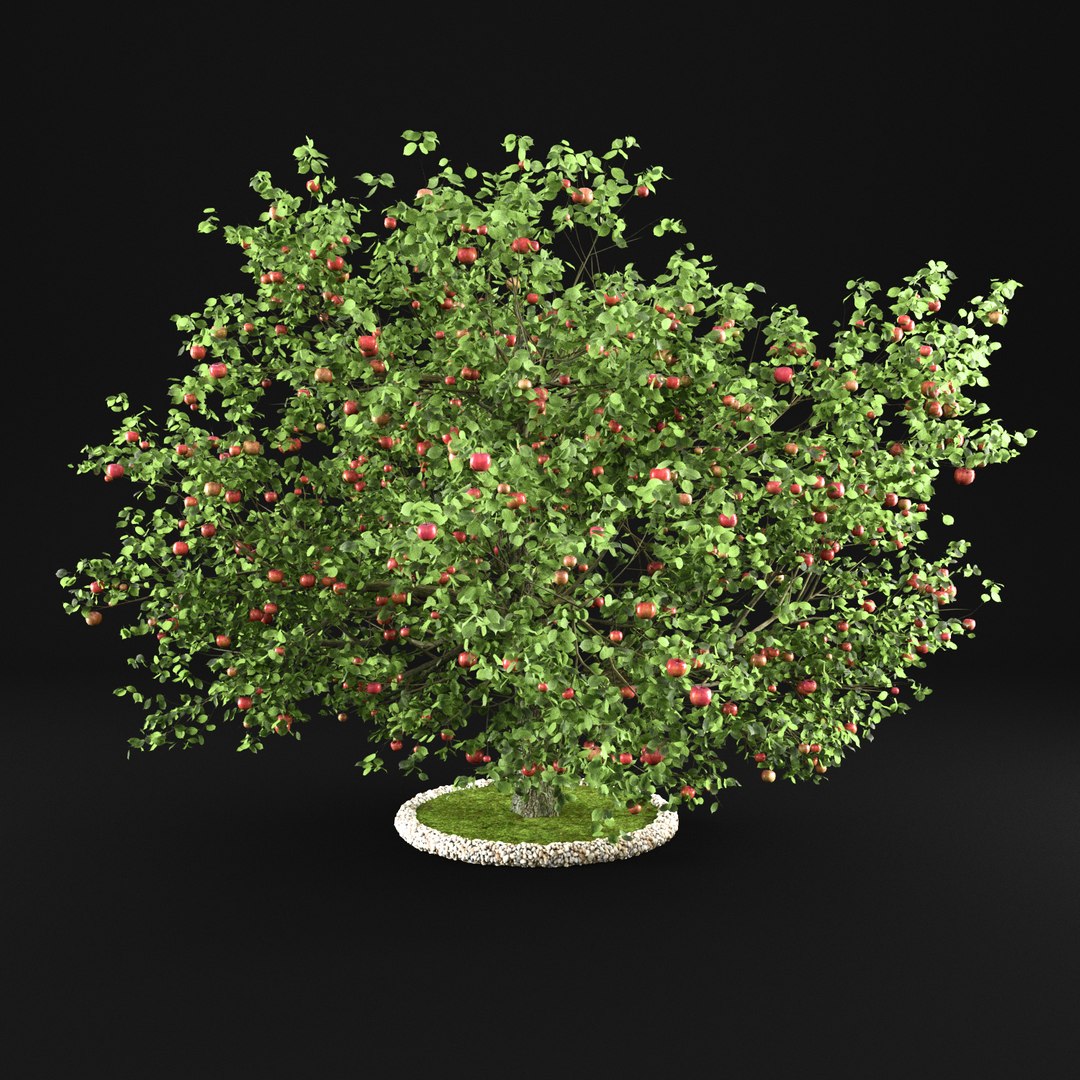 3D Model Apple Tree - TurboSquid 1156197