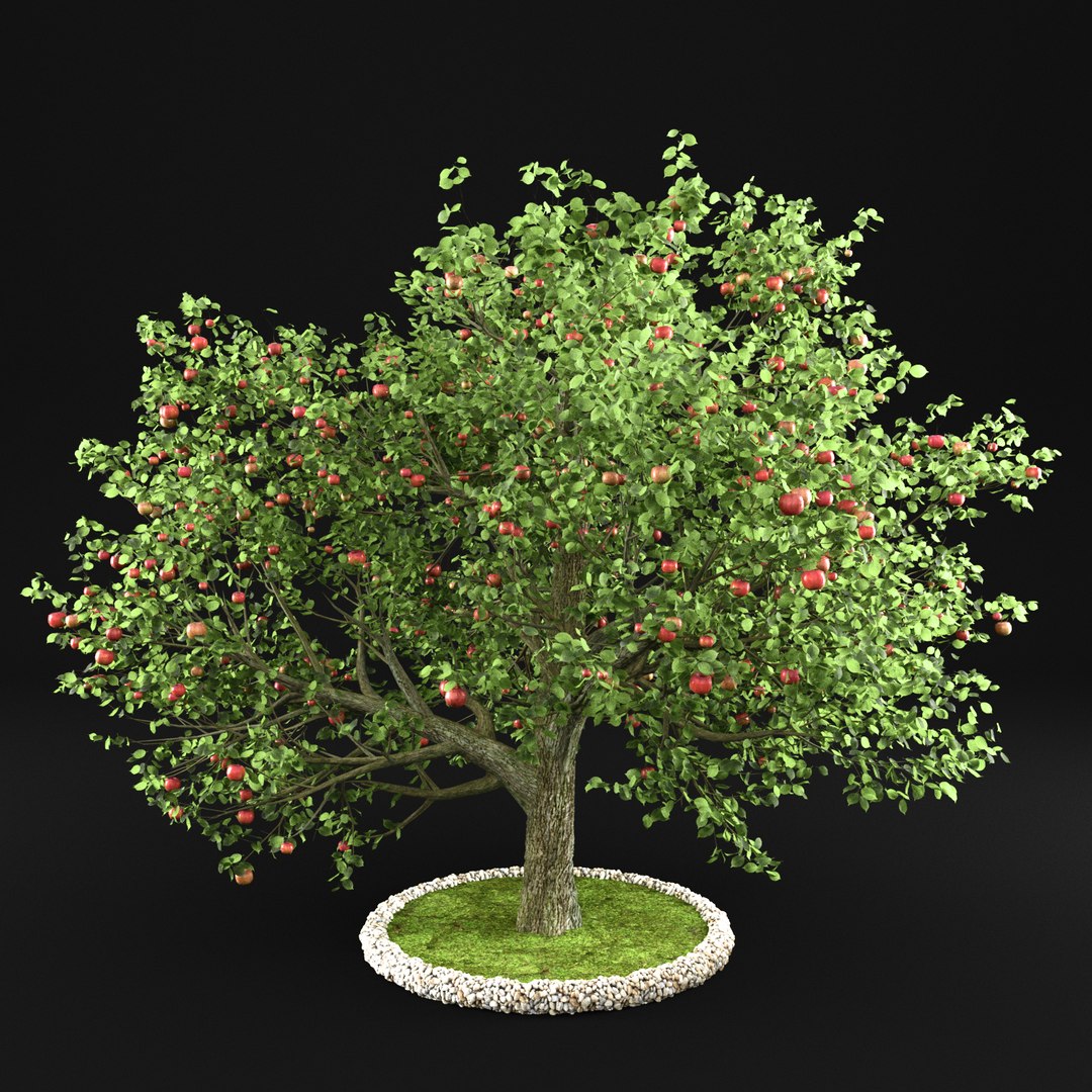 3D Model Apple Tree - TurboSquid 1156197