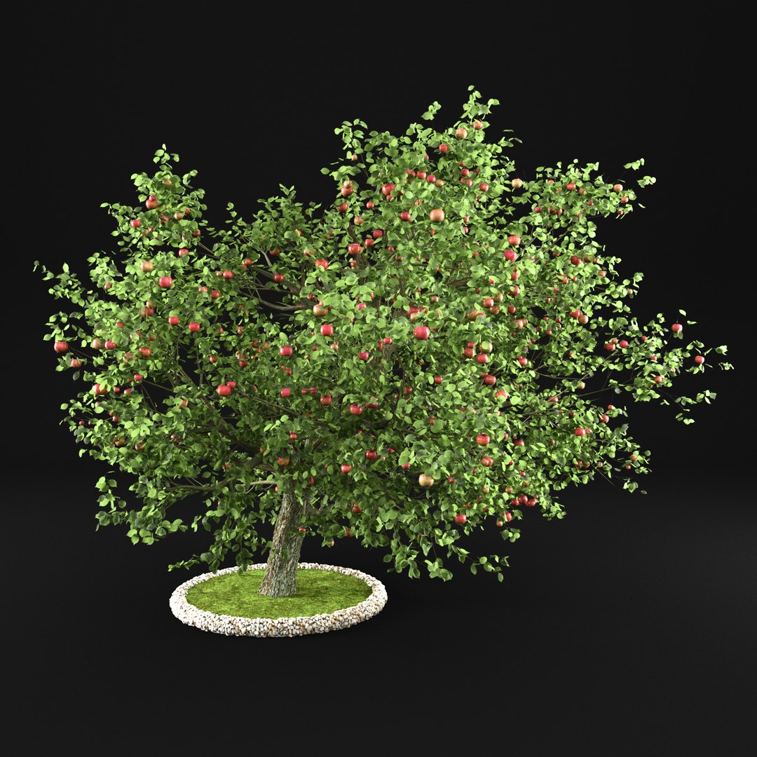 3D Model Apple Tree - TurboSquid 1156197