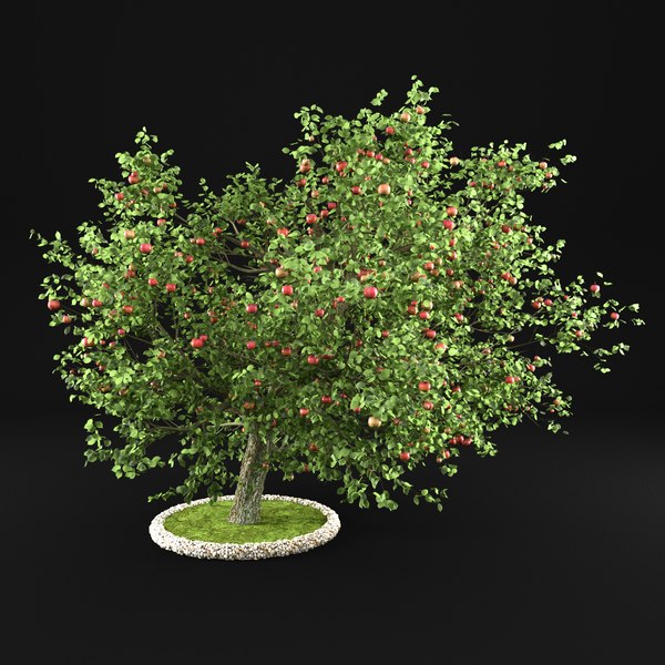 Apple tree 3D model - TurboSquid 1159242