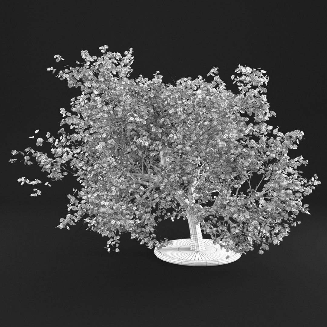 3D Model Apple Tree - TurboSquid 1156197