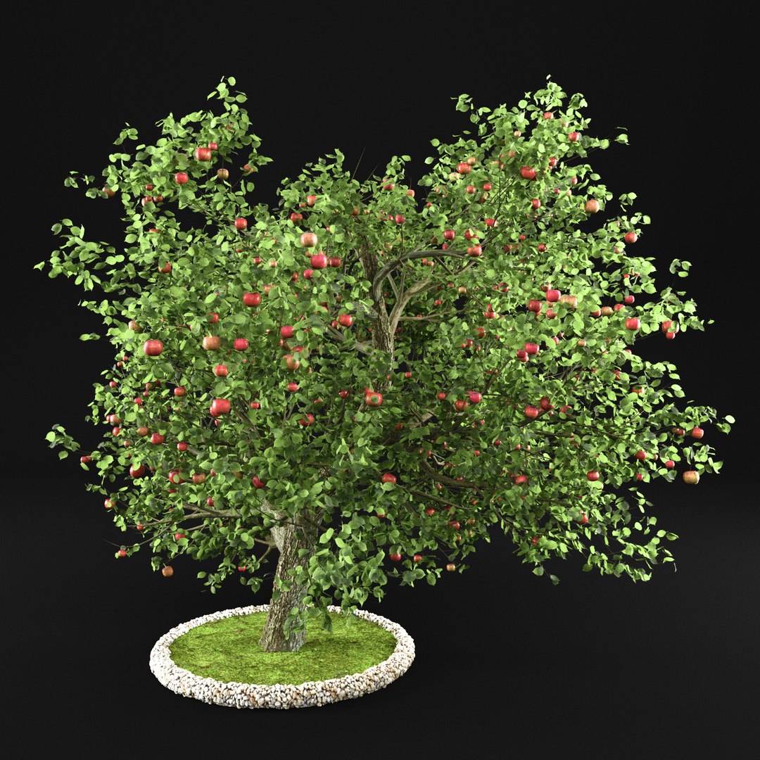 3D Model Apple Tree - TurboSquid 1156197