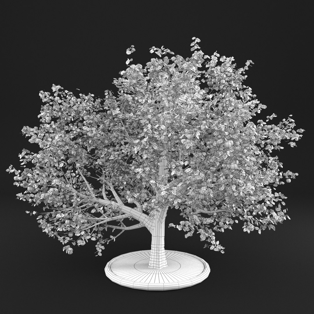 3D Model Apple Tree - TurboSquid 1156197