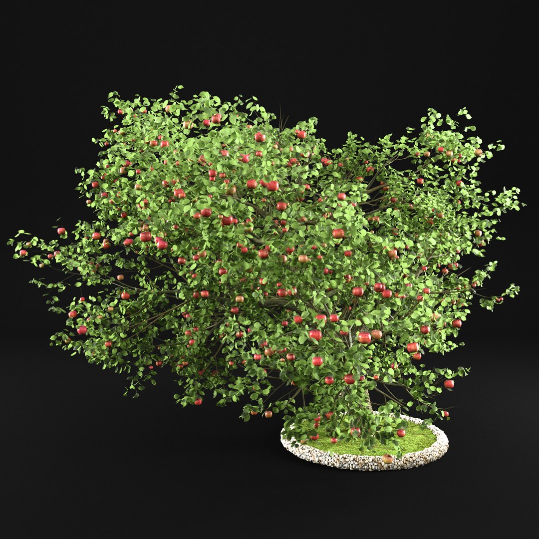 3D Model Apple Tree - TurboSquid 1156197