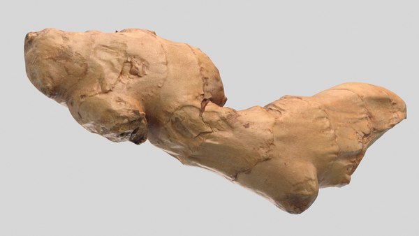 3D model ginger - TurboSquid 1695168