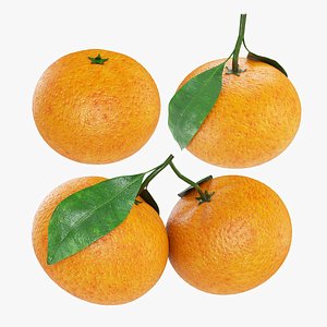 Realistic Tangerine 3D - TurboSquid 1205849