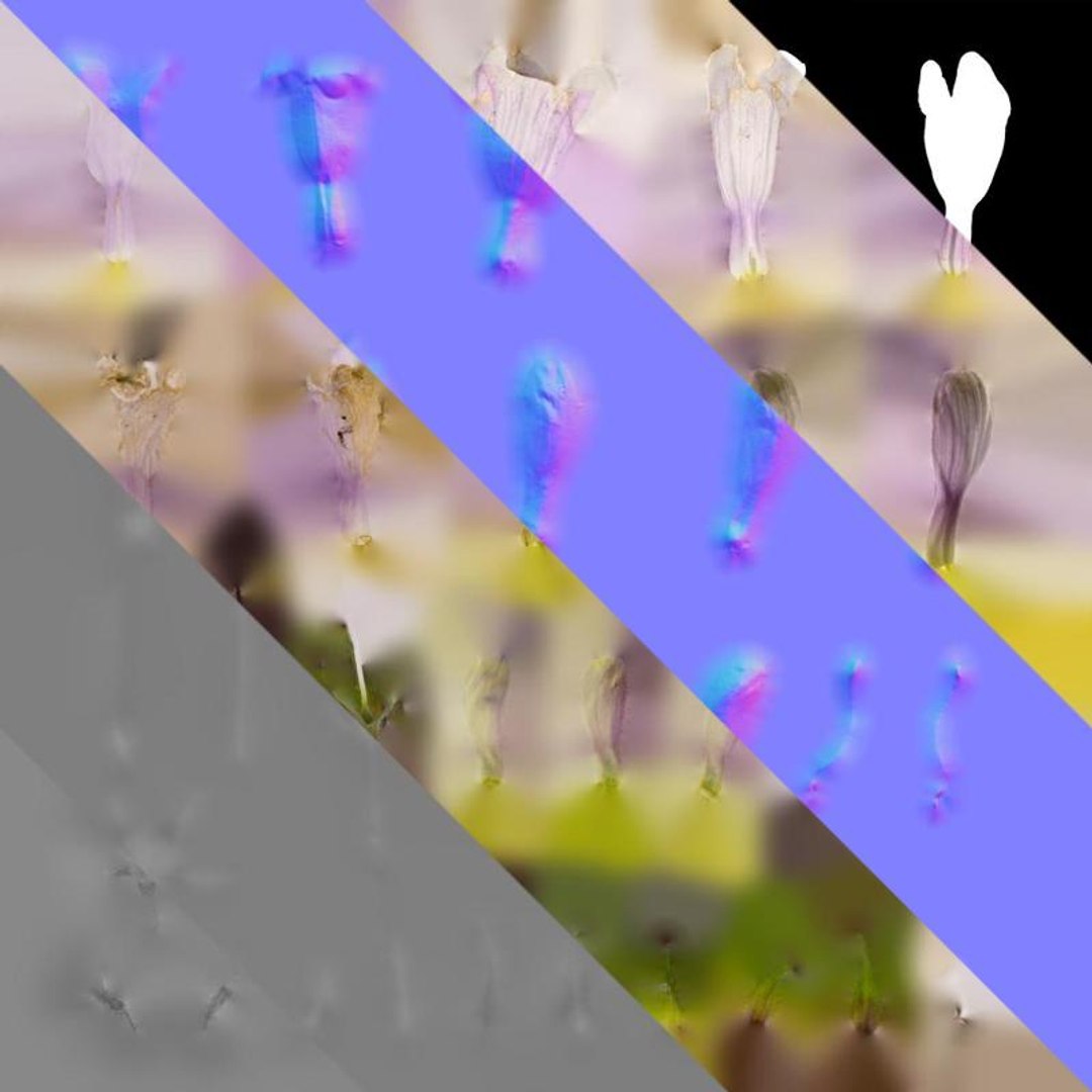 Anydrafts Penstemon Digitalis Flower 04 Textures 3D Model - TurboSquid ...