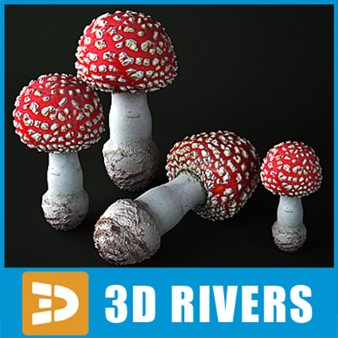 Fly Agaric Mushrooms Max