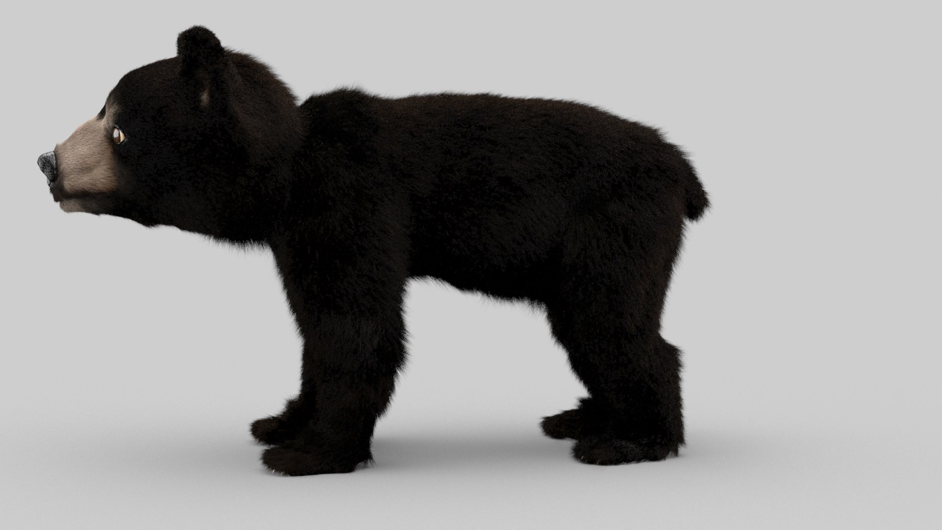Baby Bear 3D Model - TurboSquid 1622165