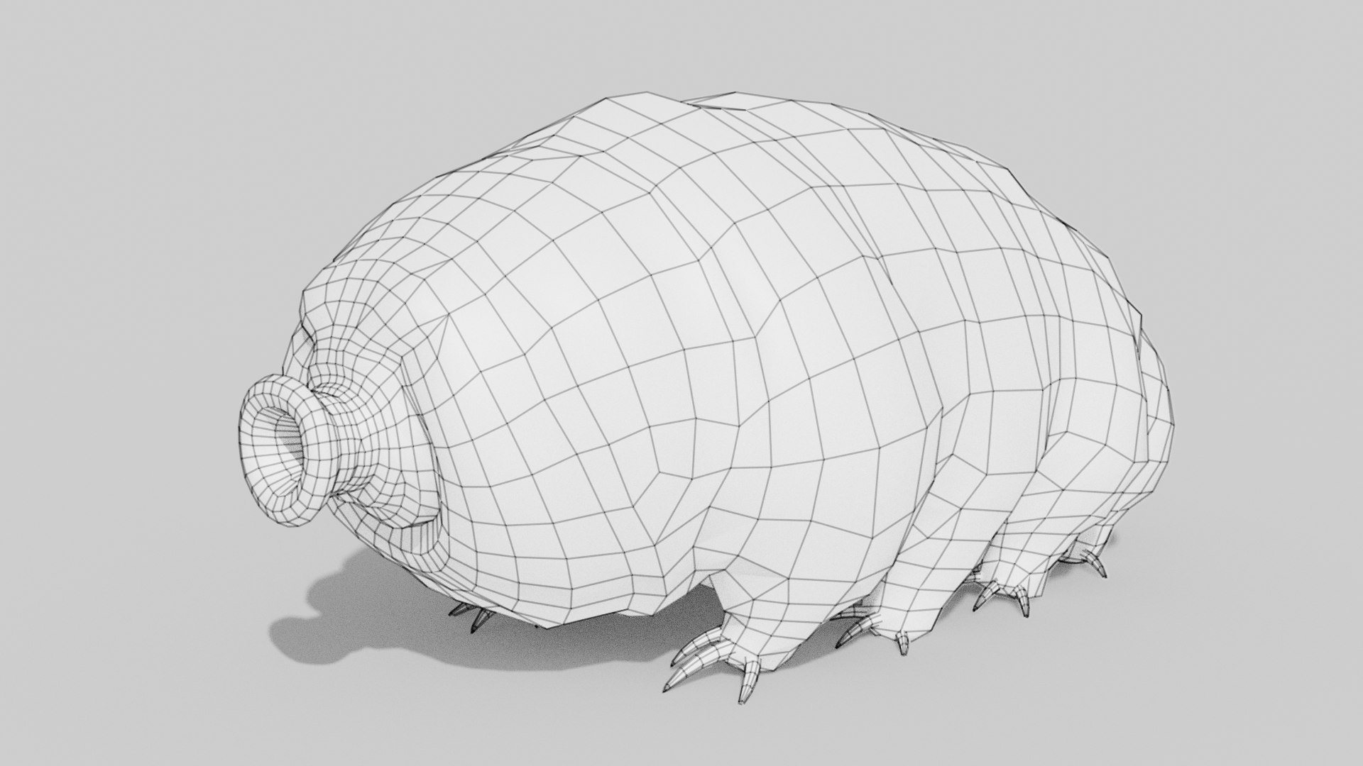 3D Model Tardigrade Waterbear Creature - TurboSquid 1691670