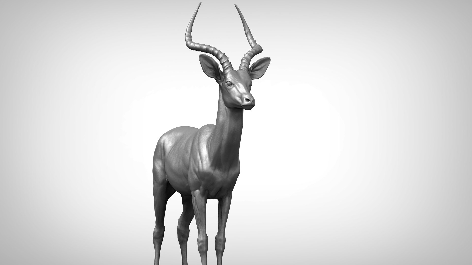 Impala Antelope Aepyceros Melampus 3D Model - TurboSquid 1434413