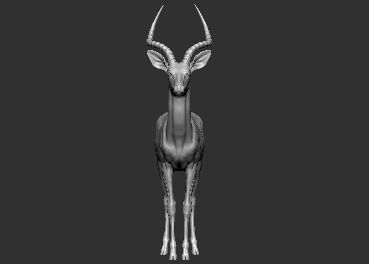 Impala Antelope Aepyceros Melampus 3D Model - TurboSquid 1434413