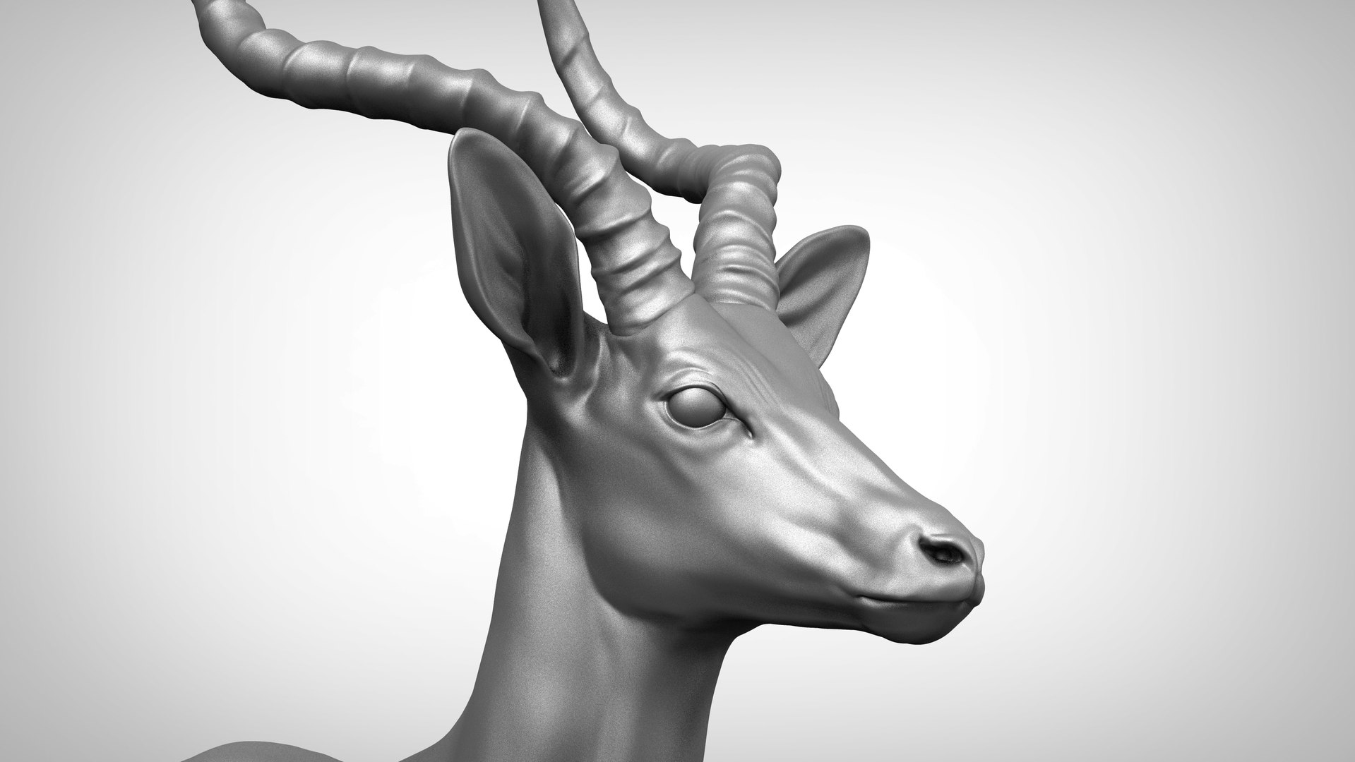 Impala Antelope Aepyceros Melampus 3D Model - TurboSquid 1434413