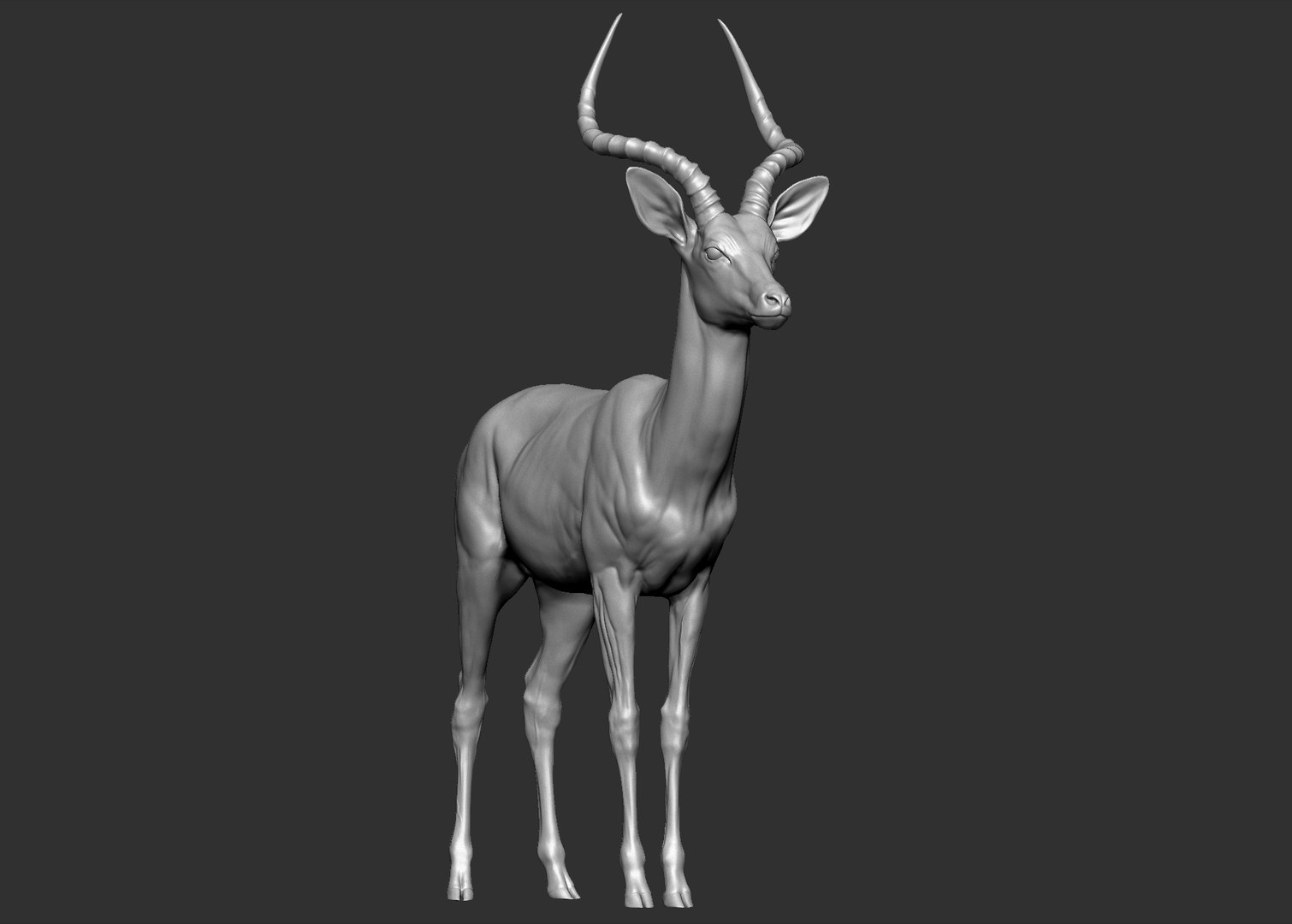 Impala Antelope Aepyceros Melampus 3D Model - TurboSquid 1434413