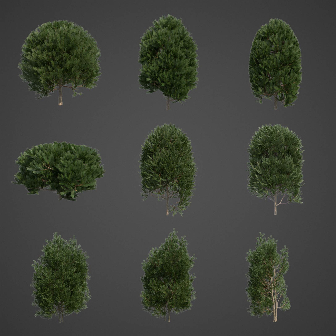 Tree nature 3D model - TurboSquid 1677324