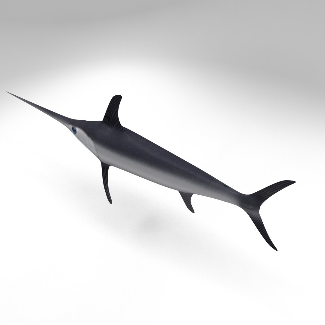Swordfish Fish 3ds