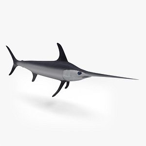 3D Swordfish Models - Browse & Download Formats - TurboSquid