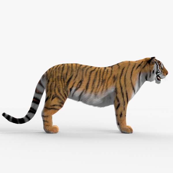 Tiger (Fell) 3D-Modell - TurboSquid 838549