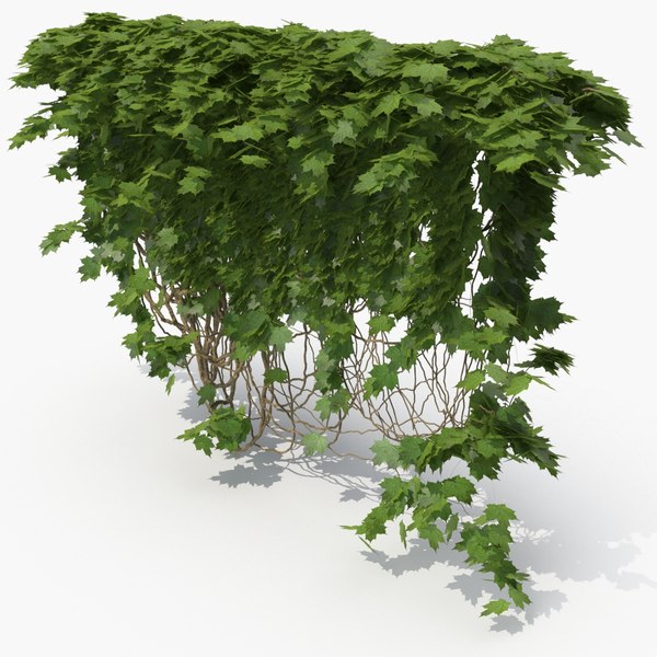 3D realistic ivy rock | 1143954 | TurboSquid