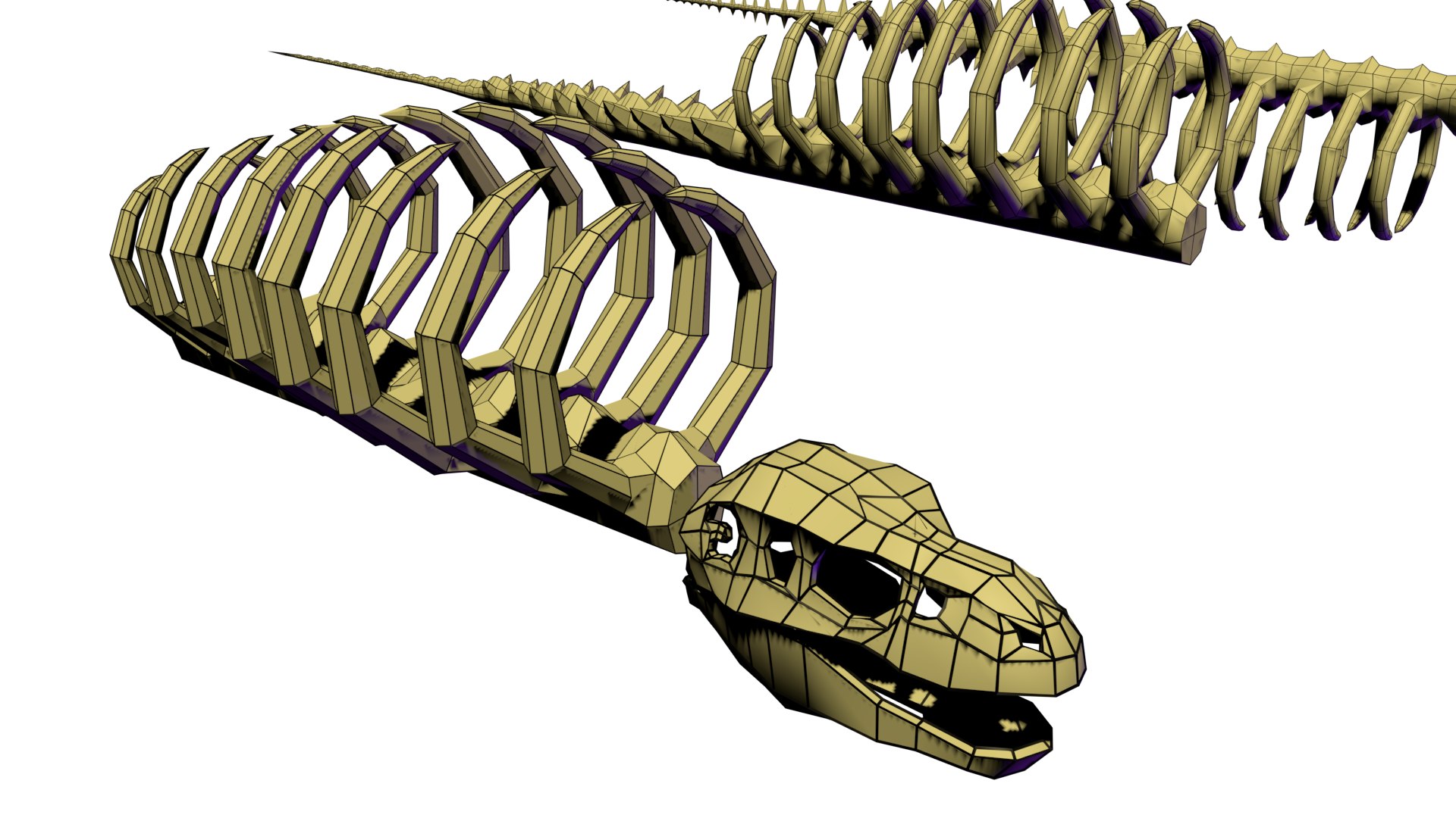 3D Dinosaur Skeletons Model - TurboSquid 2002794