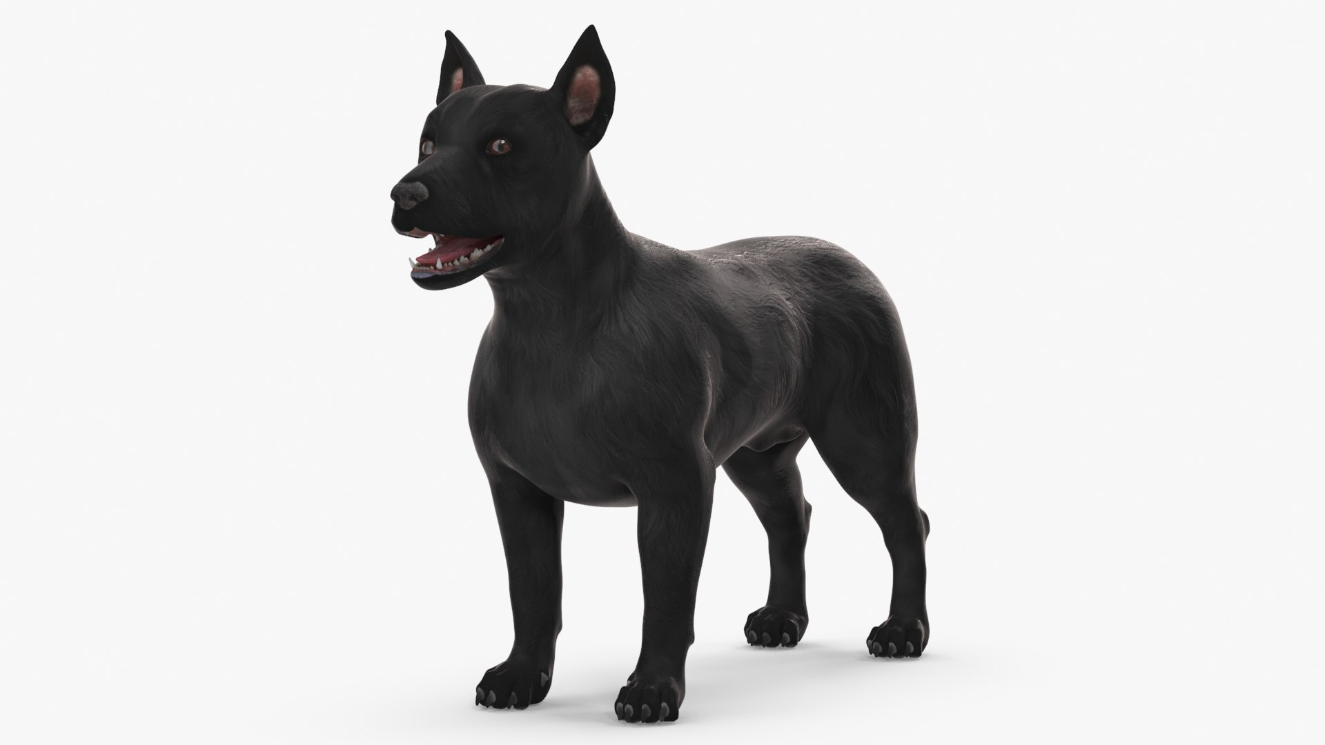 3D Model Mongrel Dog Dark Standard Pose - TurboSquid 2413242