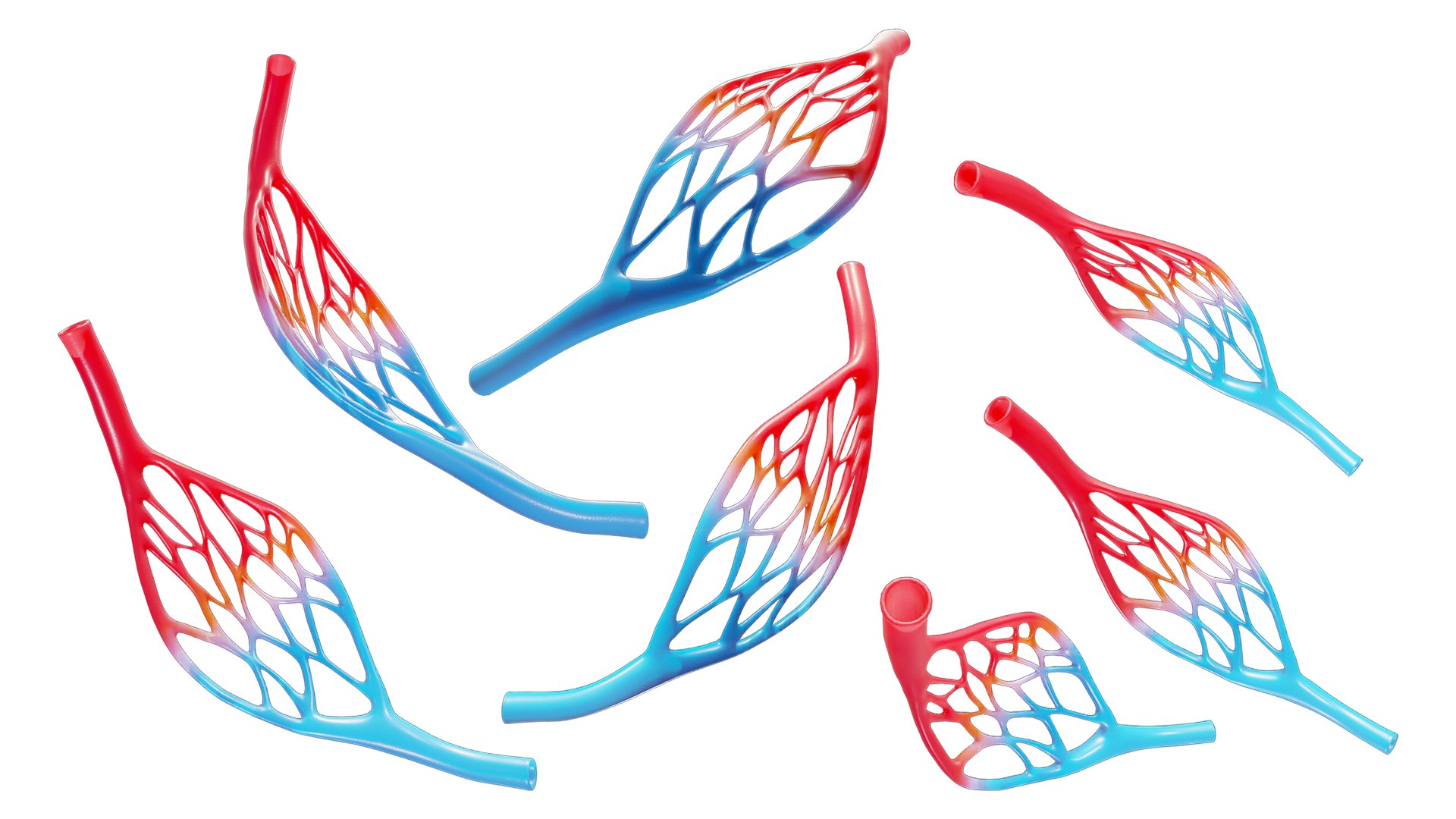 Blood Vessel Anatomy 3D - TurboSquid 2141205