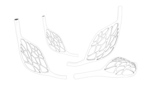 modelo 3d Anatomía de los vasos sanguíneos - TurboSquid 2141205
