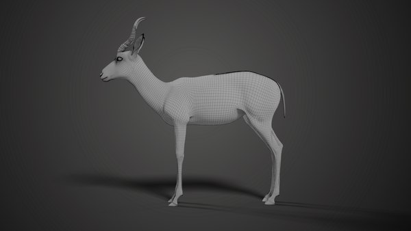 Springbok rigging animation 3D model - TurboSquid 1697834