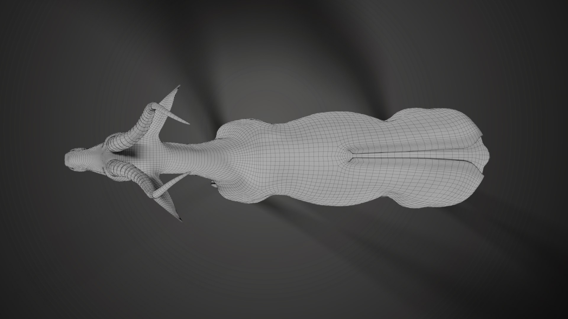 Springbok rigging animation 3D model - TurboSquid 1697834