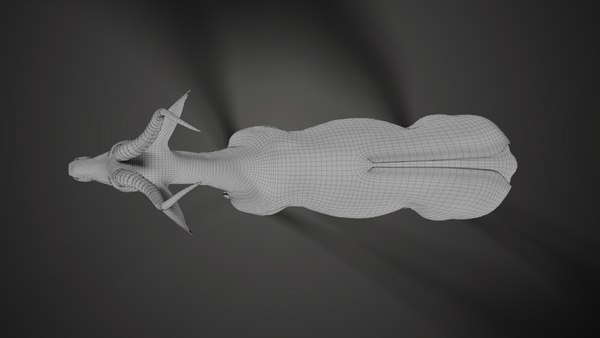 Springbok rigging animation 3D model - TurboSquid 1697834