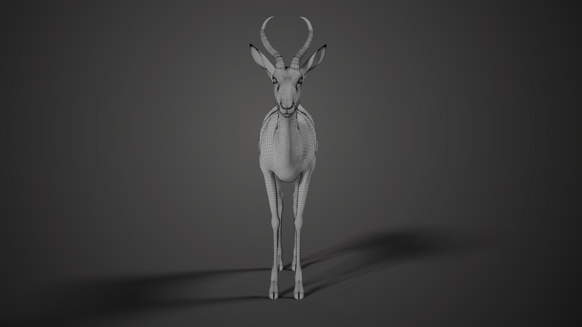 Springbok rigging animation 3D model - TurboSquid 1697834