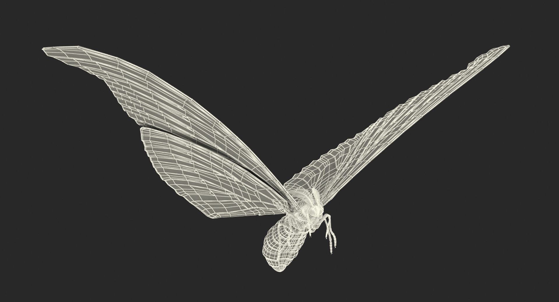 Atlas Moth Flying Pose Model - TurboSquid 1192518