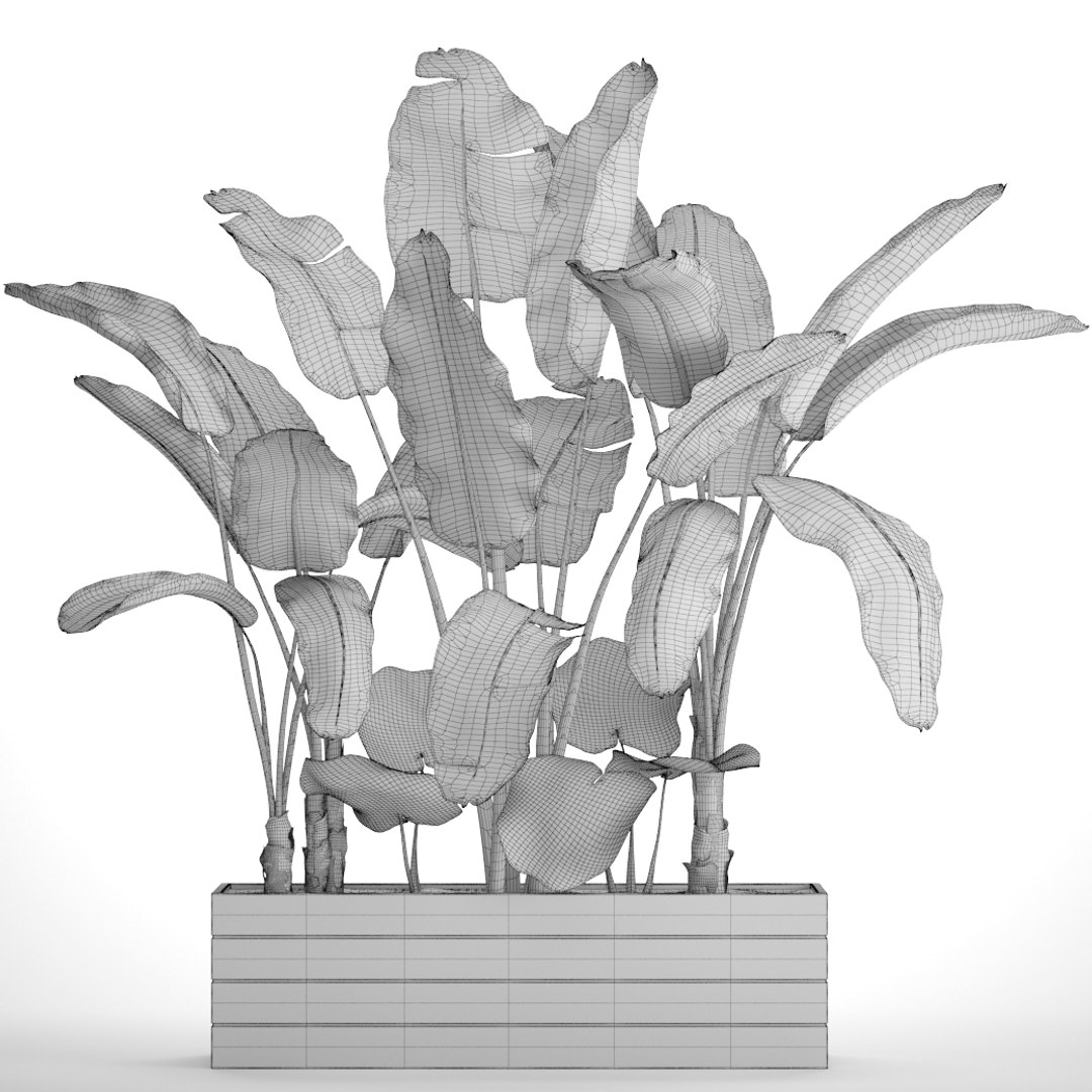 Banana Tree Set 3D Model - TurboSquid 1185897
